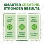 easy-to-take creatine monohydrate gummies