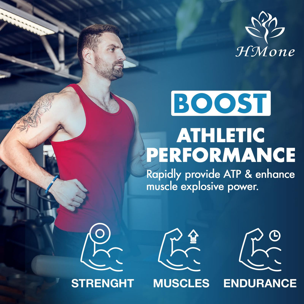 easy-to-take creatine monohydrate gummies