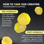 easy-to-take creatine monohydrate supplement