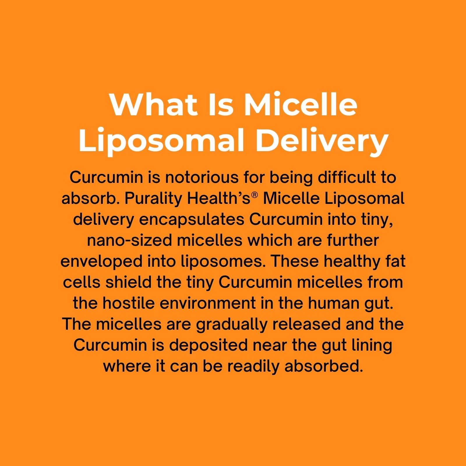 easy-to-take curcumin capsules