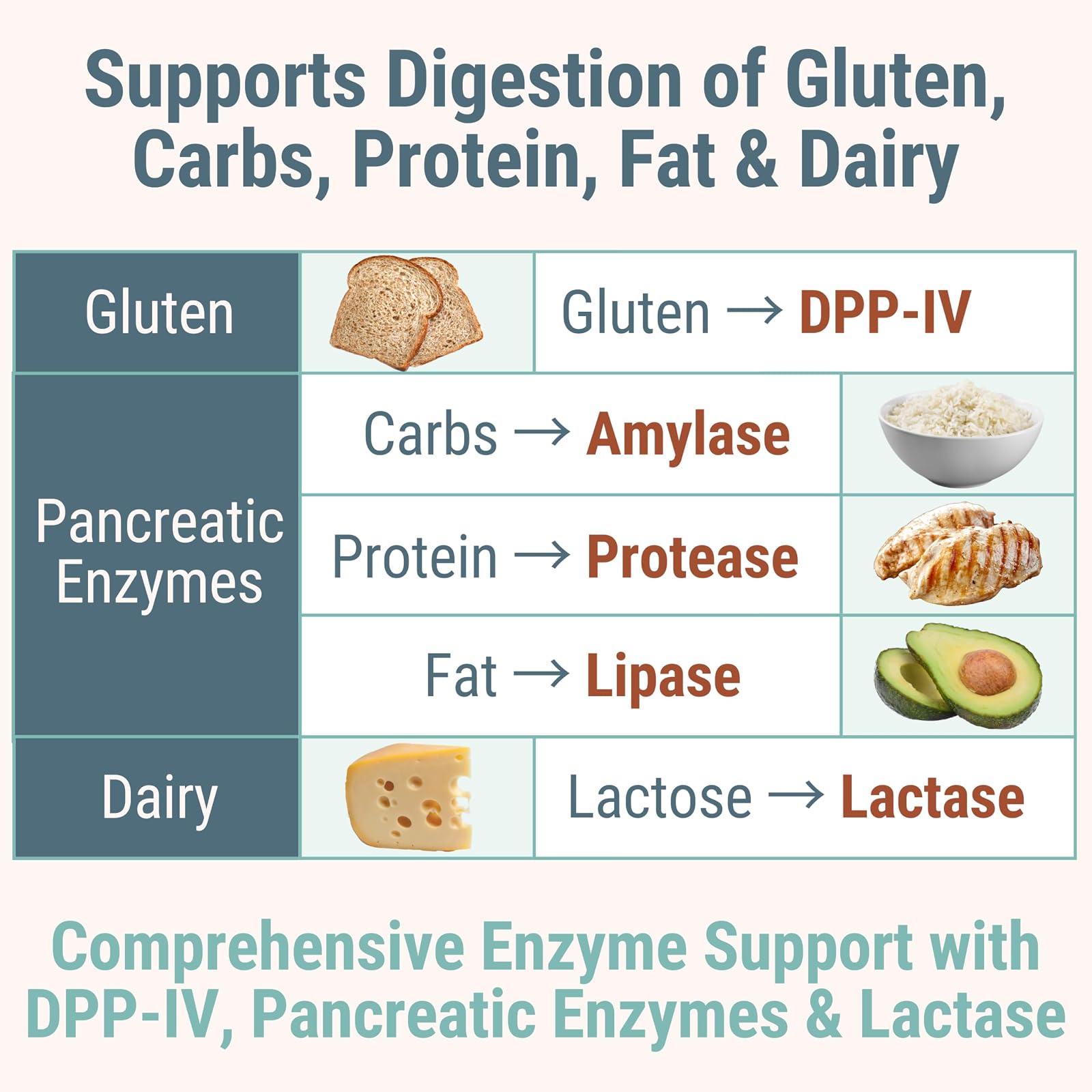 easy-to-take digestive enzyme gummies