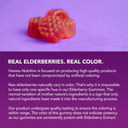 easy-to-take elderberry gummies for wellness