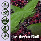 easy-to-take elderberry supplements