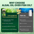 easy to take fish oil gummies