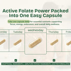 easy-to-take folate capsules
