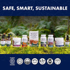 easy-to-take immune support gummies
