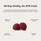 easy-to-take l-carnitine gummy supplements