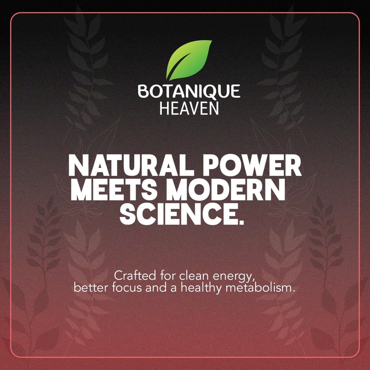 Easy-to-take L-Carnitine liquid