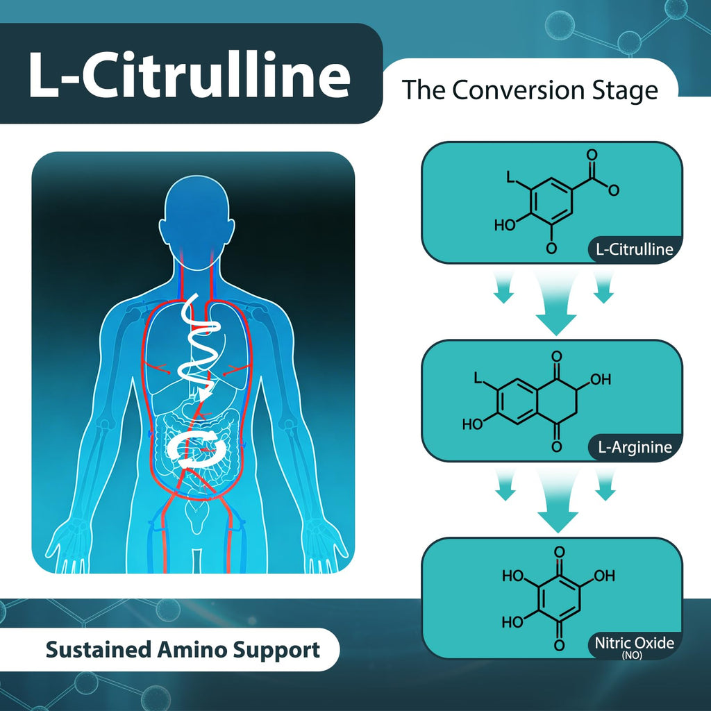 easy-to-take L-Citrulline gummy vitamins