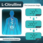 easy-to-take L-Citrulline gummy vitamins