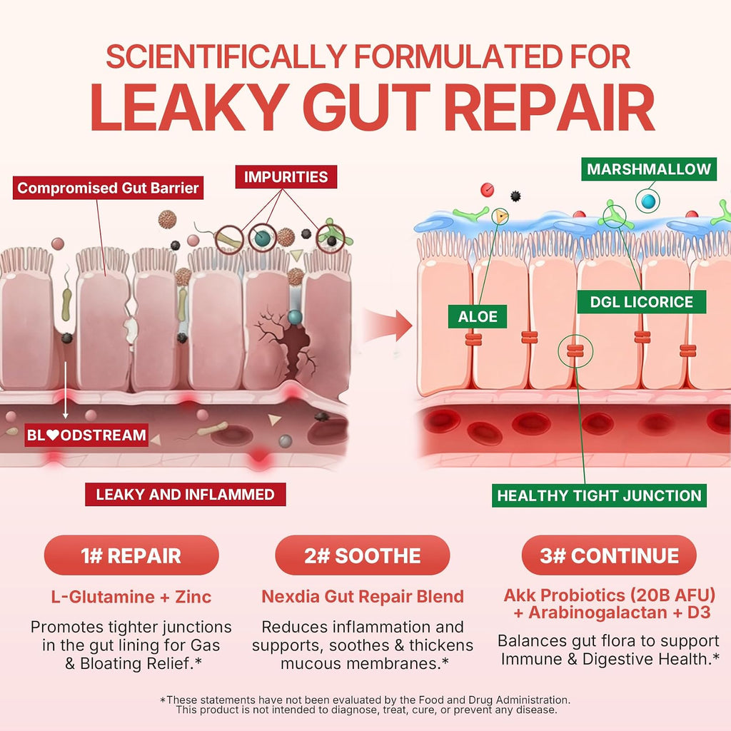 easy-to-take l-glutamine for digestion