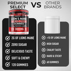 easy-to-take lion's mane gummies