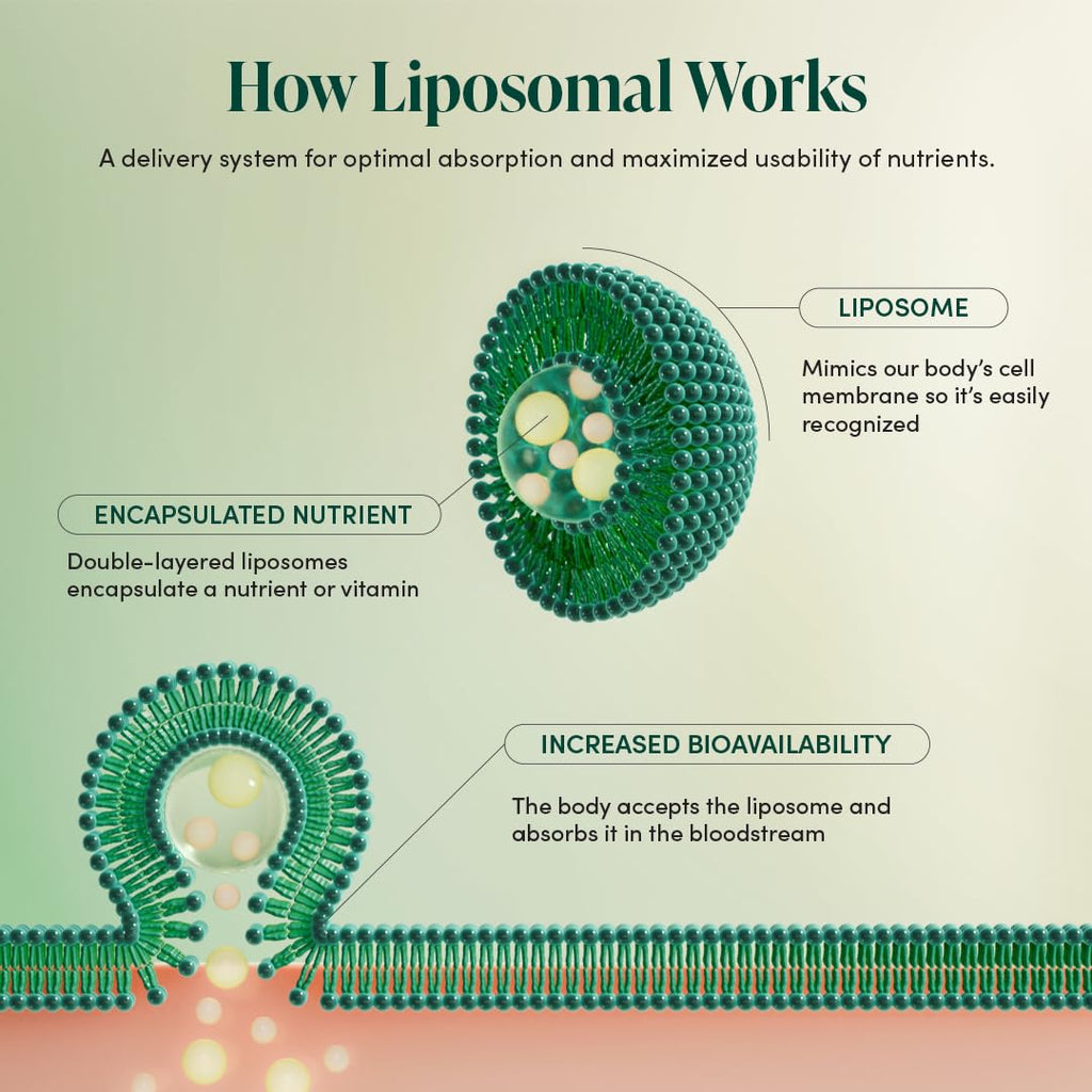 easy-to-take liposomal vitamin c
