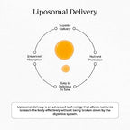 easy-to-take liposomal vitamin c