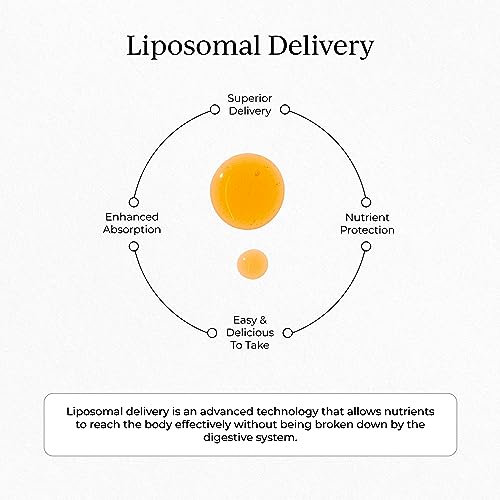 easy-to-take liposomal vitamin c