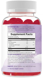 easy-to-take melatonin sleep aid