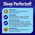 easy to take melatonin supplements