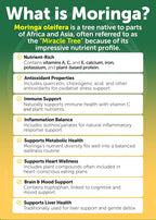 easy-to-take moringa capsules