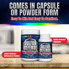 easy to take msm capsules