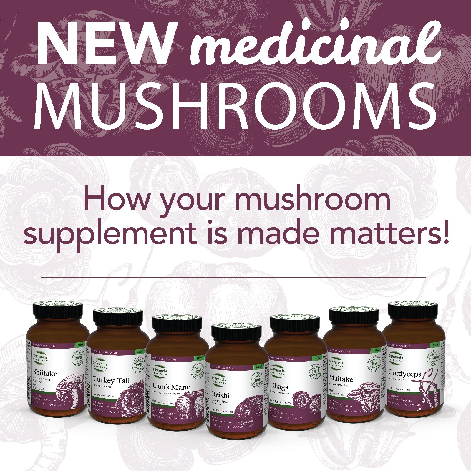 easy-to-take mushroom health capsules