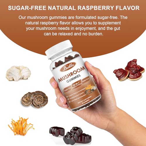 easy-to-take mushroom health gummies