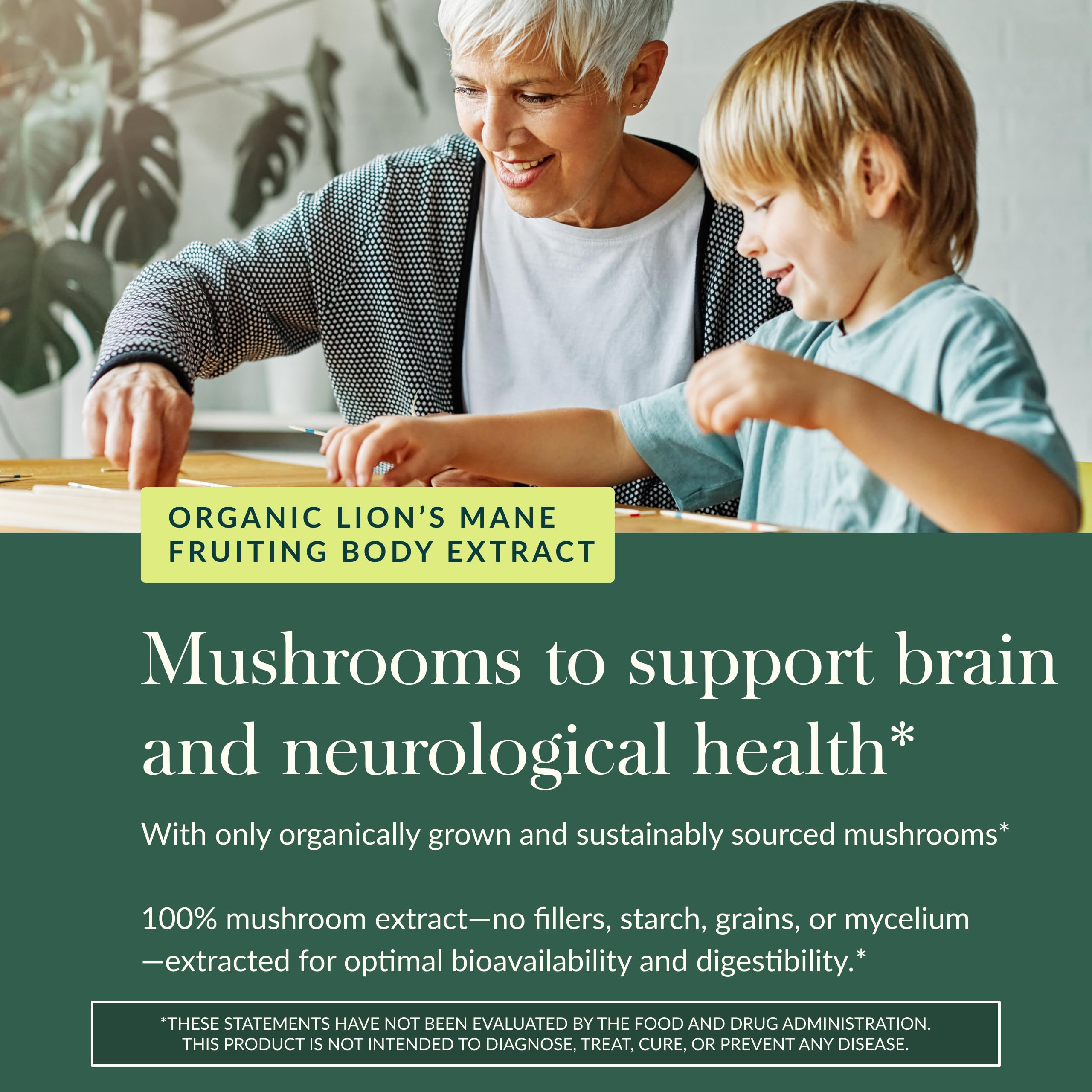 easy to take mushroom supplements