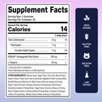 easy-to-take mushroom wellness gummies