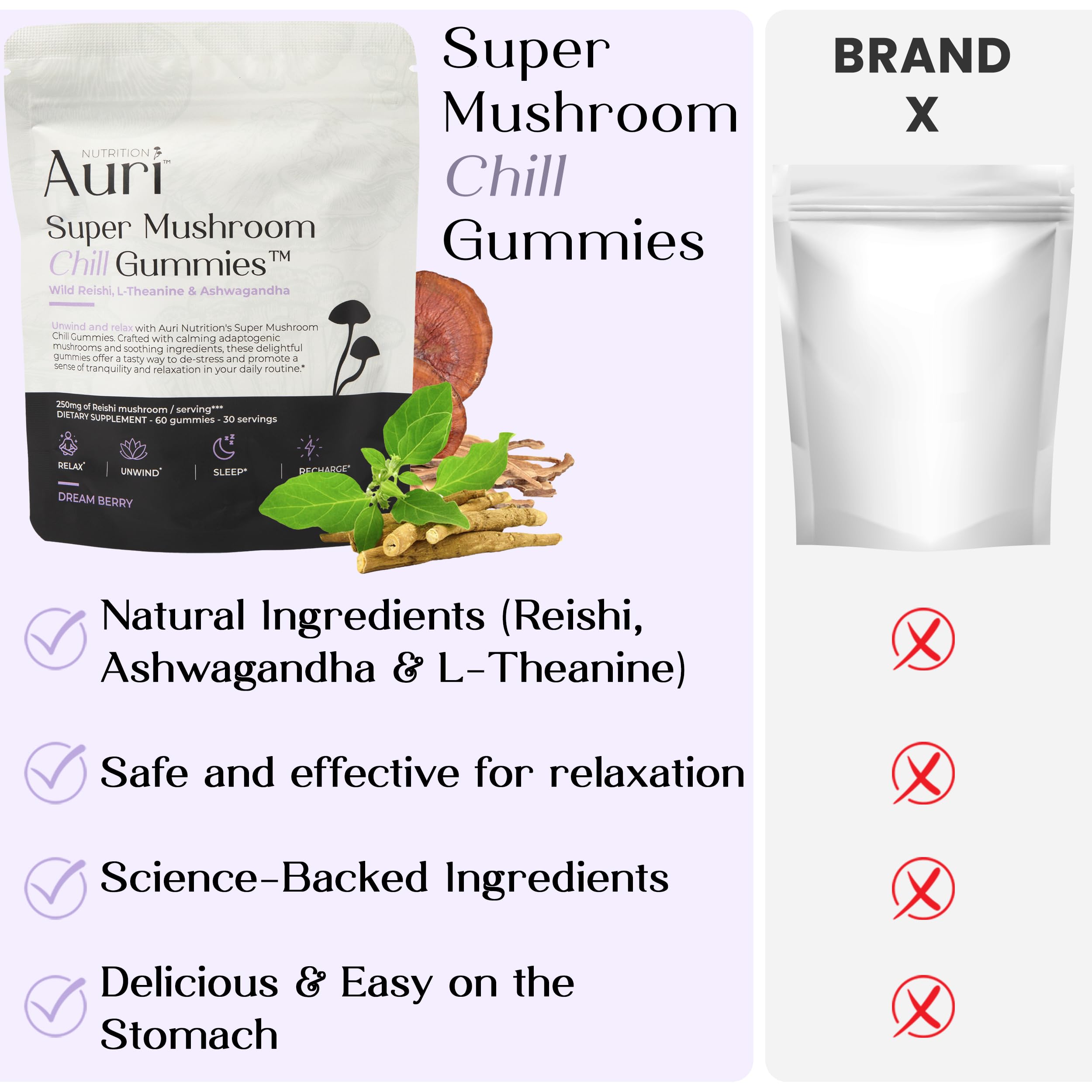 easy-to-take mushroom wellness gummies