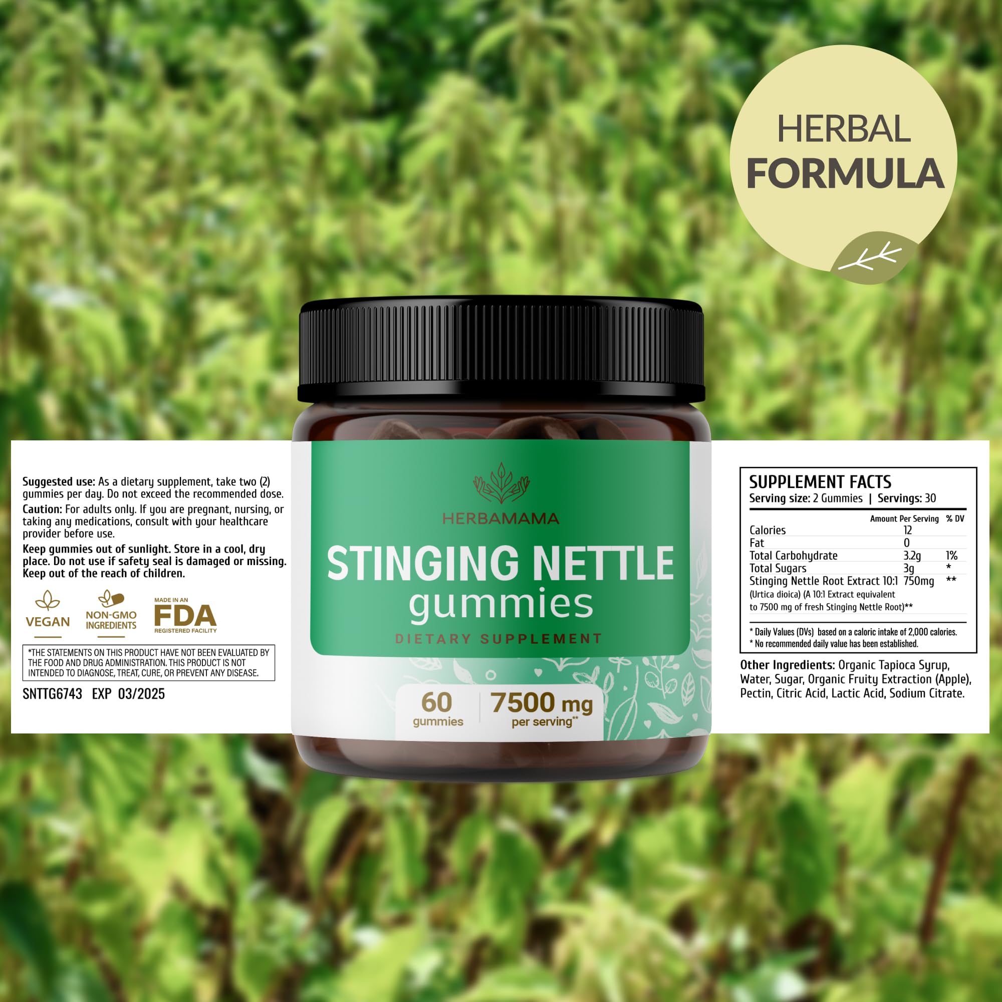 easy-to-take nettle supplements for vitality