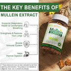 Easy-to-take NEVISS Mullein gummies