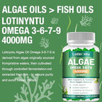 easy-to-take omega 3 gummies