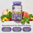 easy-to-take prenatal vitamin gummies