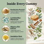 easy-to-take probiotic gummies for wellness