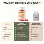 easy-to-take probiotic gummies supplement
