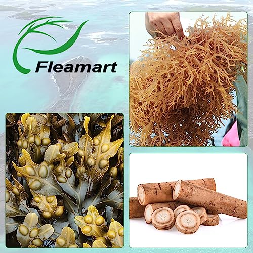 easy to take sea moss capsules