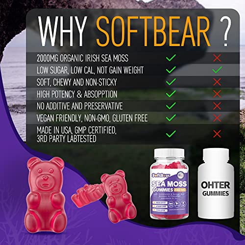easy-to-take sea moss gummy supplements