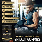 easy to take shilajit gummy form
