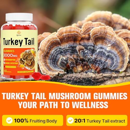 easy-to-take Turkey Tail mushroom gummies