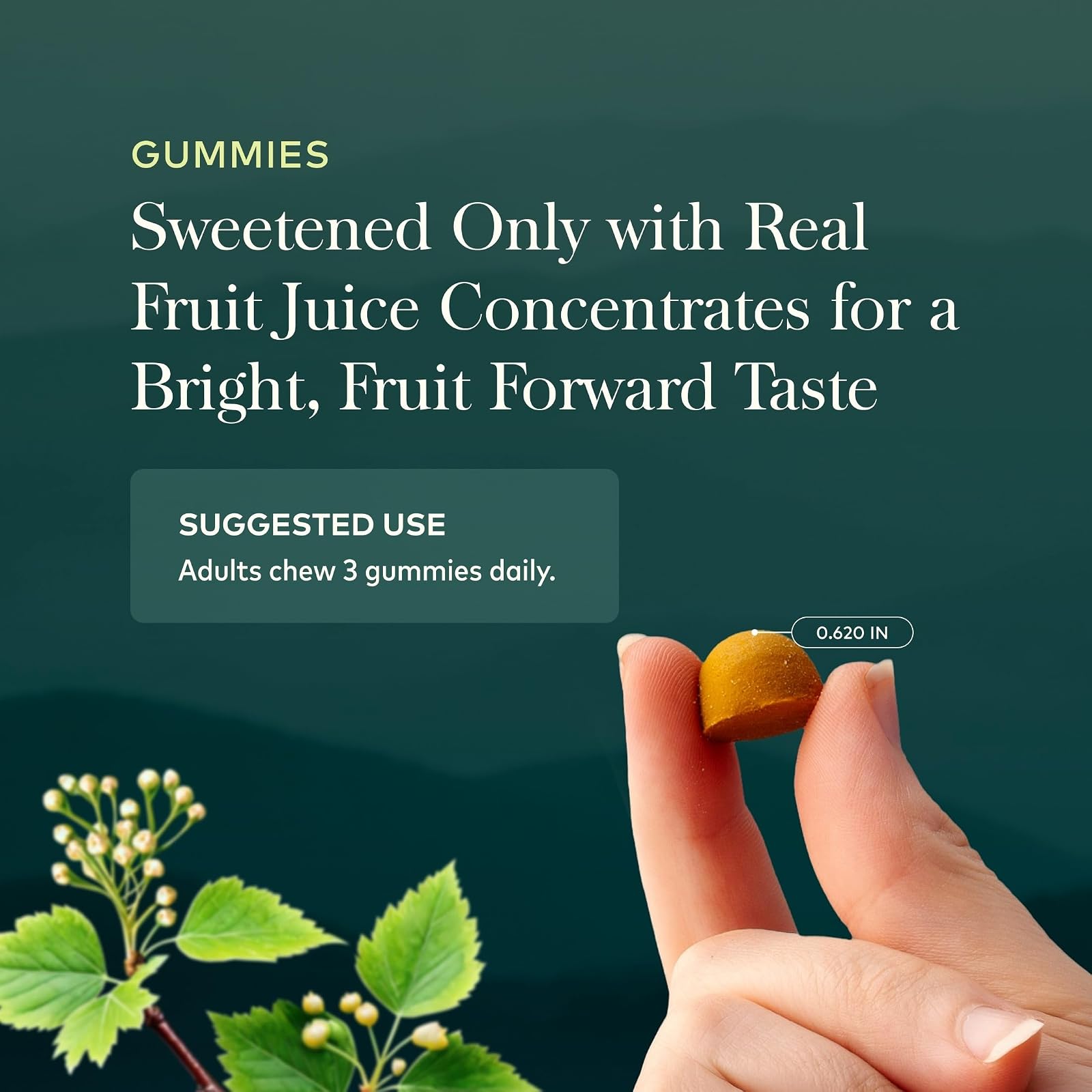 easy-to-take turmeric gummies for adults
