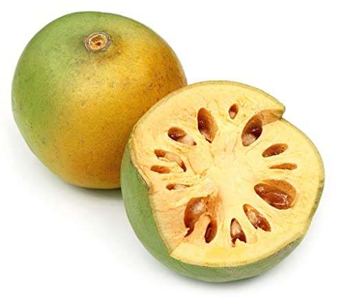easy-to-use bael fruit powder