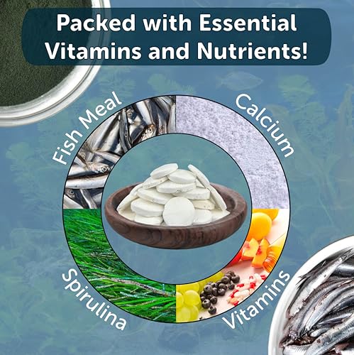 easy-to-use calcium food for snails