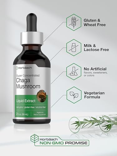 easy-to-use Chaga mushroom drops