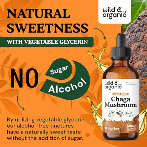 easy-to-use chaga mushroom liquid supplement