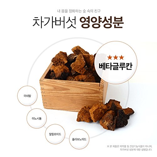 easy to use chaga mushroom powder