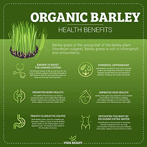 easy to use chlorophyll supplement