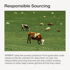 easy-to-use colostrum powder sticks