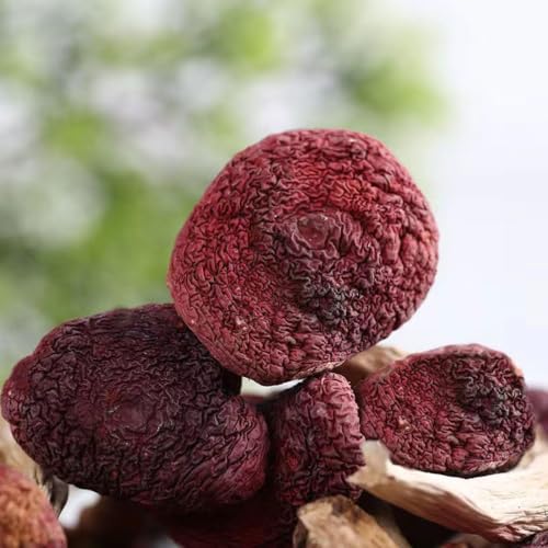 easy to use dried mushrooms