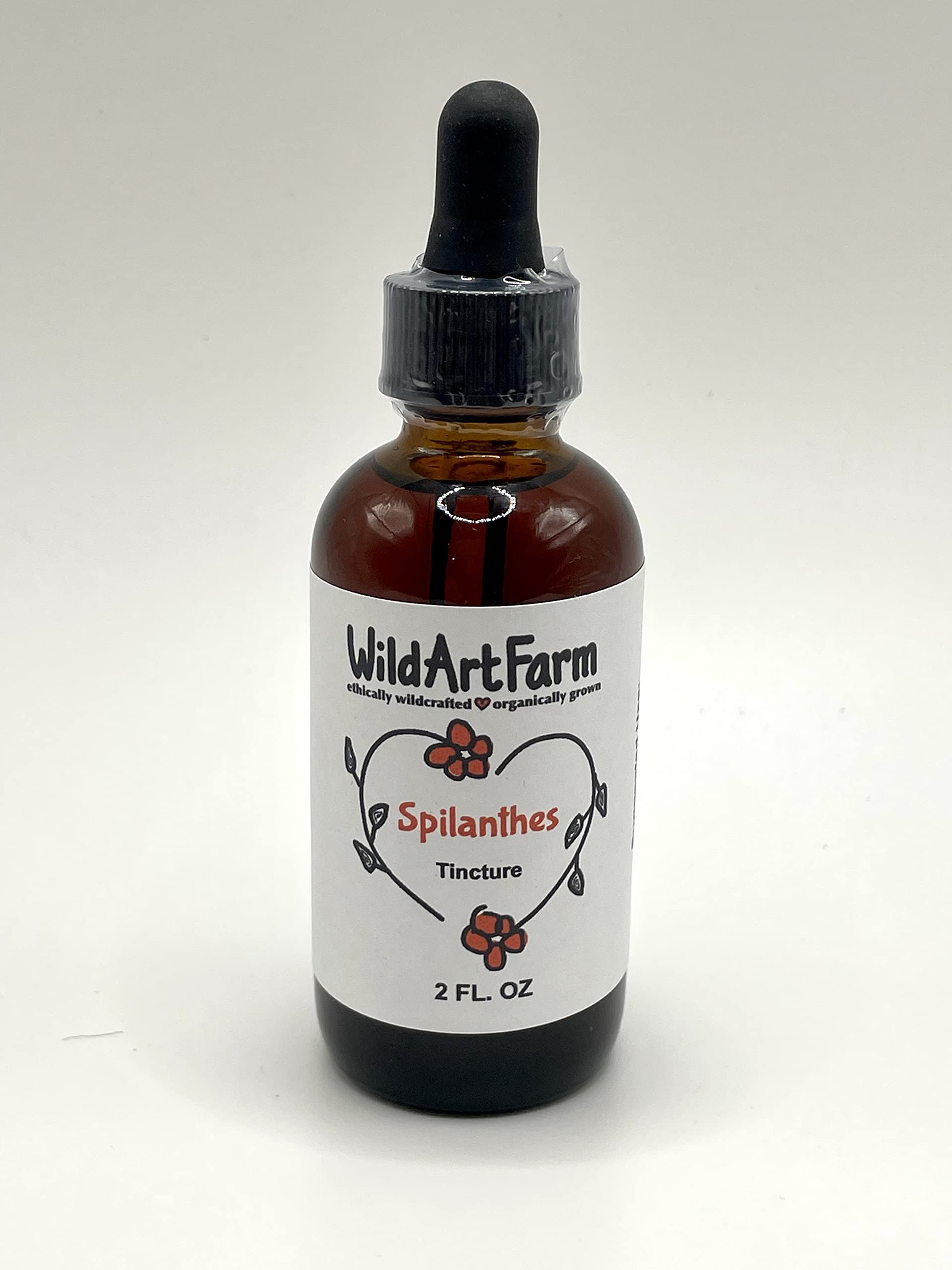 easy-to-use echinacea tincture for home remedies