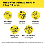 easy-to-use herbal blends for relaxation