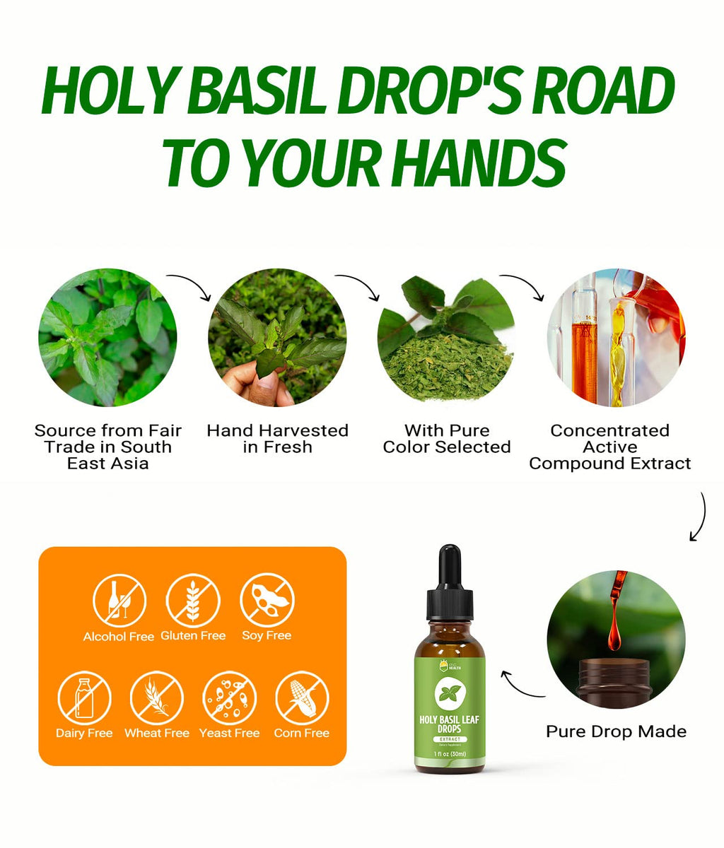 easy-to-use holy basil liquid drops